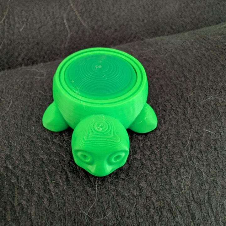 3D Printable Turtle Gyro Fidget-- Easy, fast print! by Jambaby Designs