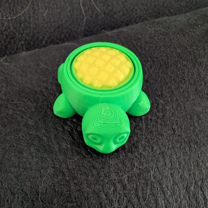 3D Printable Turtle Gyro Fidget-- Easy, fast print! by Jambaby Designs