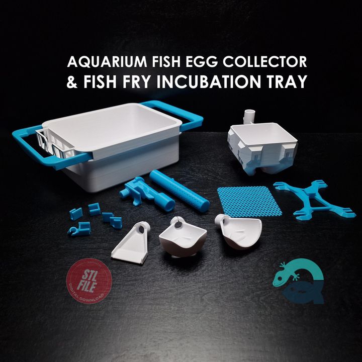3D Printable Fish Egg Trap STL, Aquarium Fry Breeding Tray, Fish Fry ...
