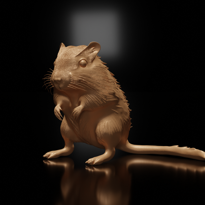 3D Printable gerbil animal by Tayyab