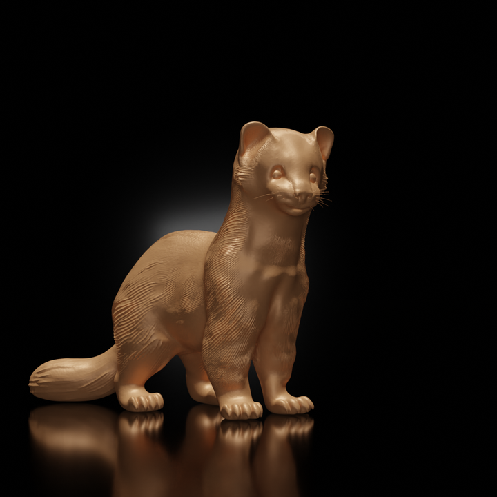 3D Printable Ferret 2 by Tayyab