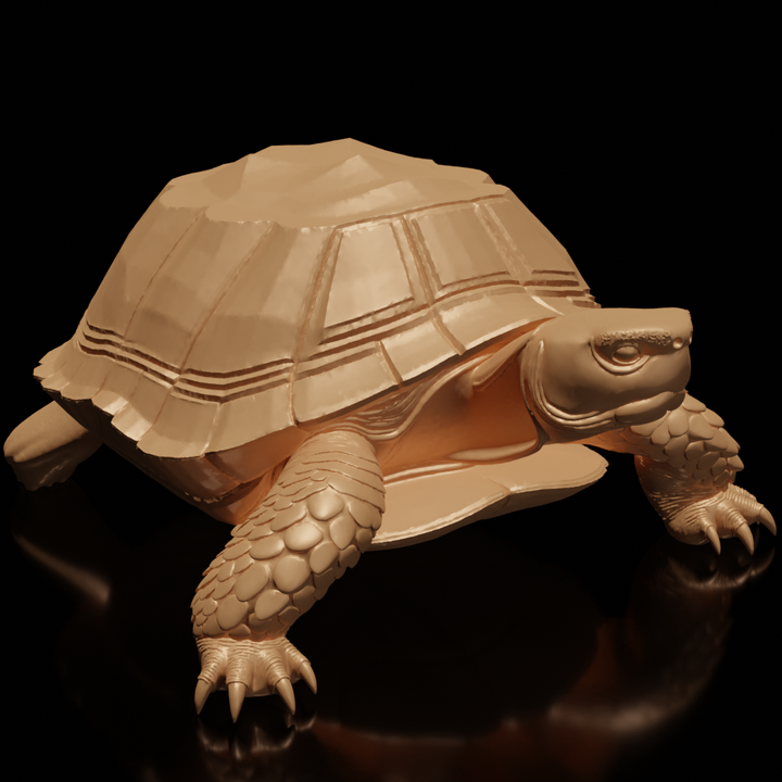3D Printable tortoise by Tayyab