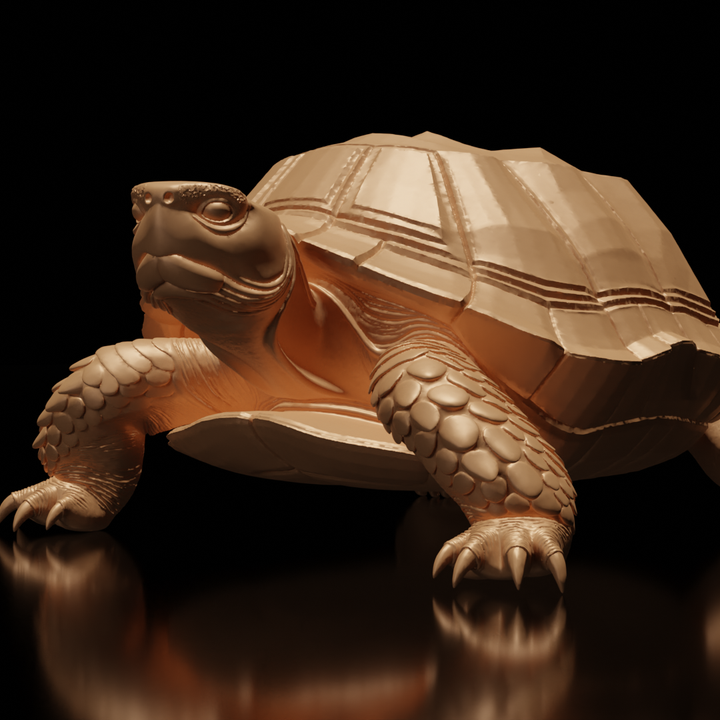 3D Printable tortoise by Tayyab