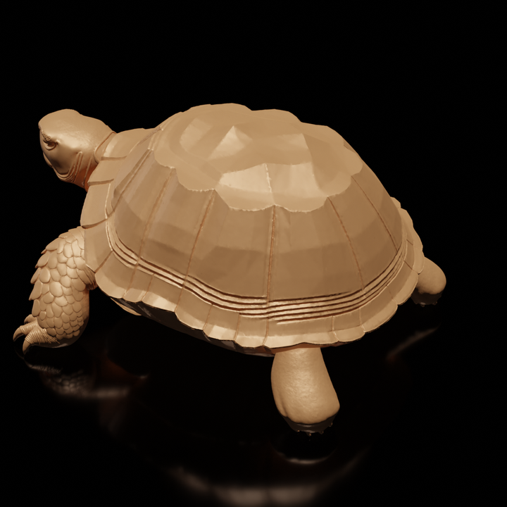 3D Printable tortoise by Tayyab