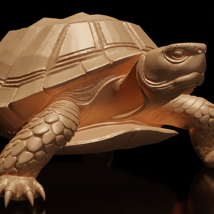 3D Printable tortoise by Tayyab