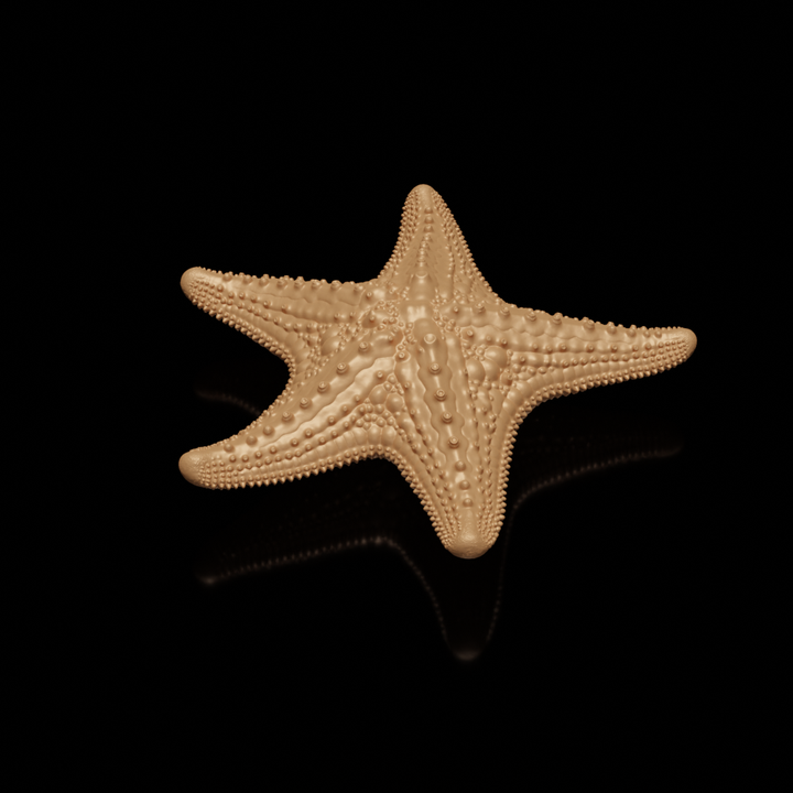 3D Printable starfish by Tayyab