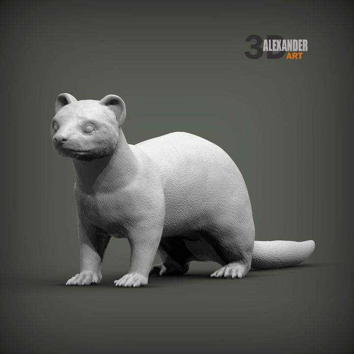 3D Printable ferret by Alexander3dart