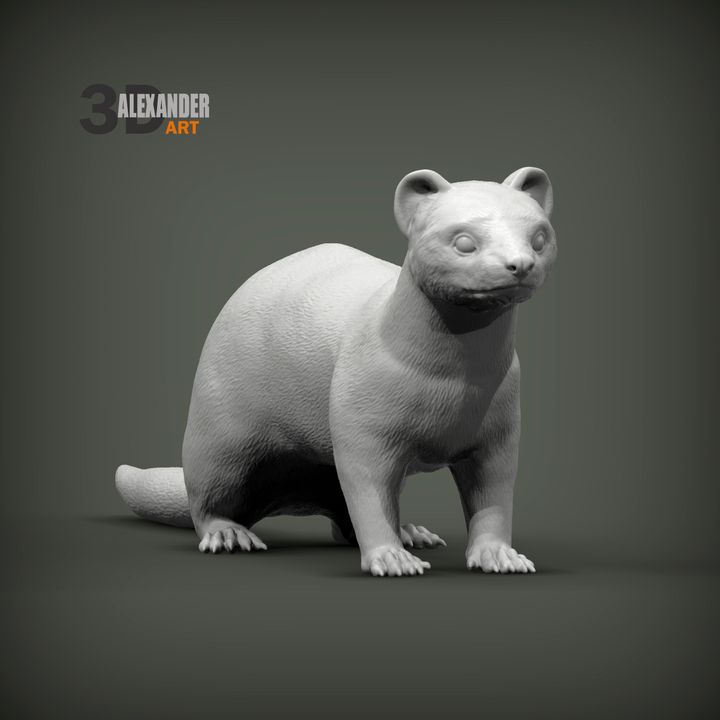 3D Printable ferret by Alexander3dart