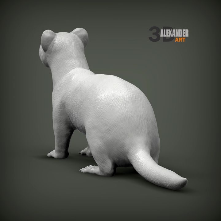 3D Printable ferret by Alexander3dart