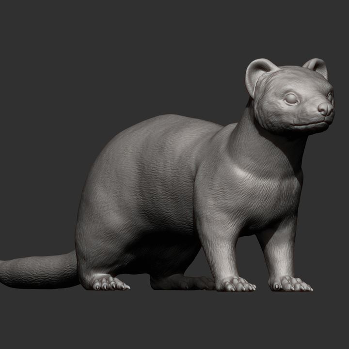 3D Printable ferret by Alexander3dart