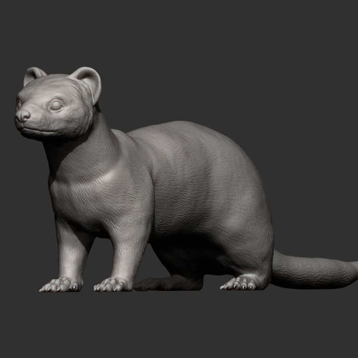 3D Printable ferret by Alexander3dart