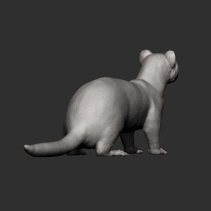 3D Printable ferret by Alexander3dart
