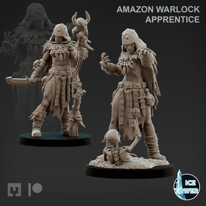 3D Printable Hero - Amazon Warlock Apprentice by Ice Tower