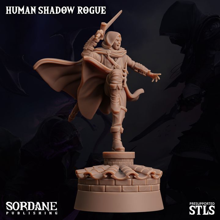 3D Printable Human Shadow Rogue by Sordane Publishing
