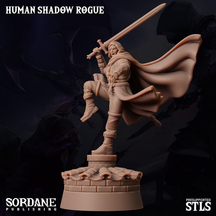 3D Printable Human Shadow Rogue by Sordane Publishing