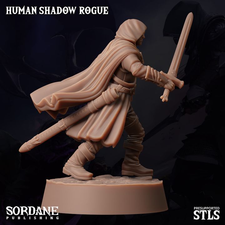 3D Printable Human Shadow Rogue by Sordane Publishing