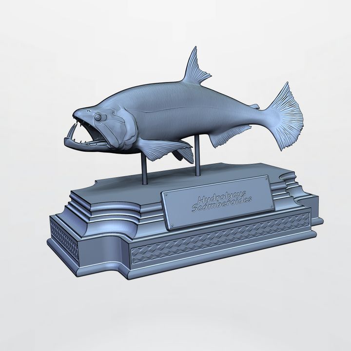 3D Printable HYDROLYCUS SCOMBEROIDES by Alex