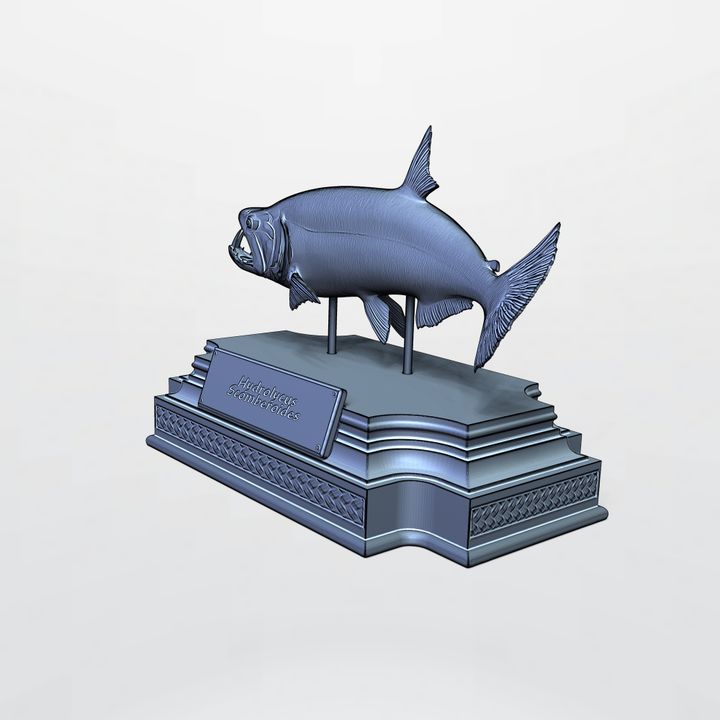 3D Printable HYDROLYCUS SCOMBEROIDES by Alex