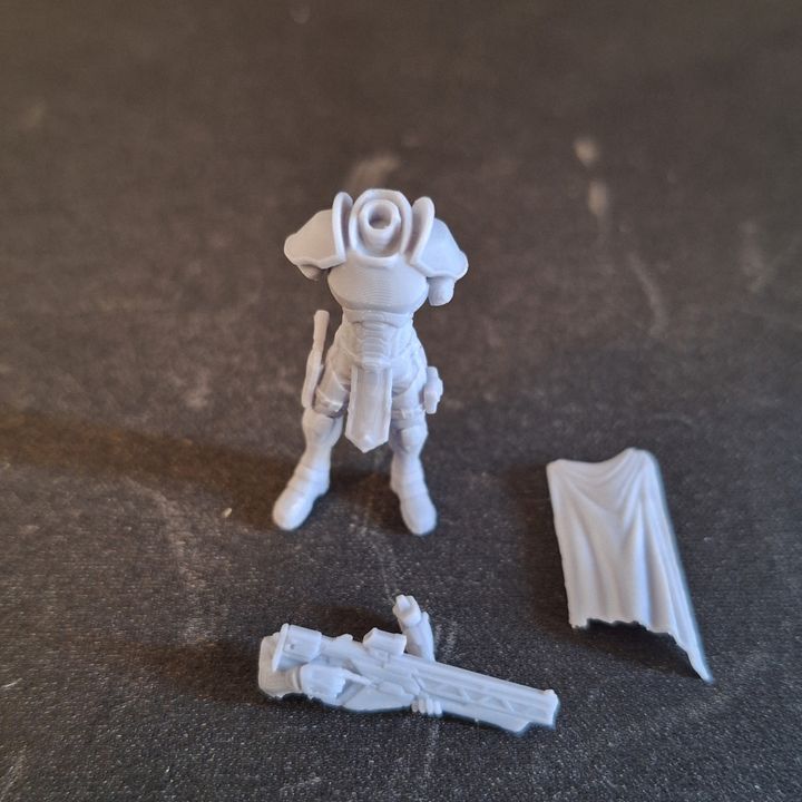 3D Printable Neo Templars - Honor Guard with railgun by Vicko Hazdovac