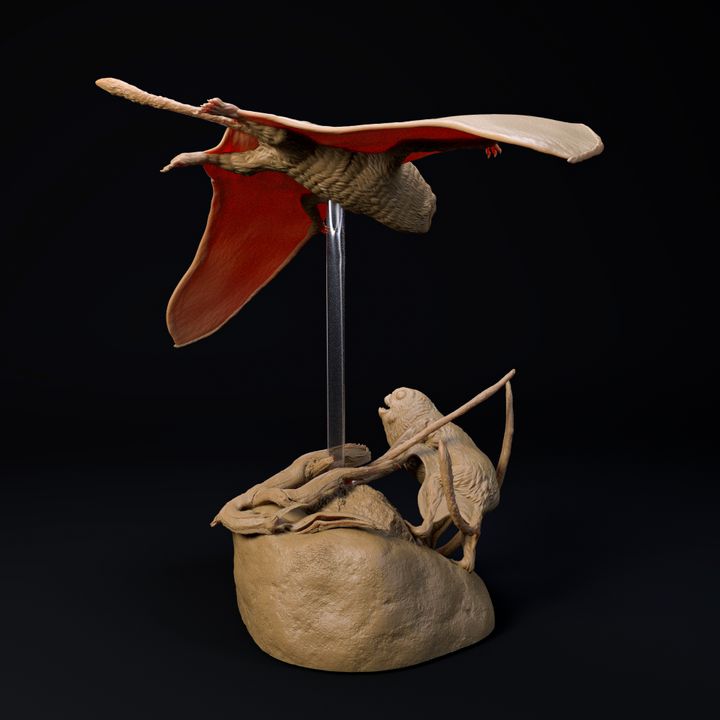 3D Printable Sinomacrops bondei pair 1-3 scale pre-supported pterosaur ...