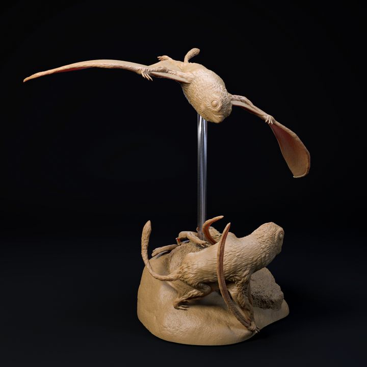 3D Printable Sinomacrops bondei pair 1-3 scale pre-supported pterosaur ...