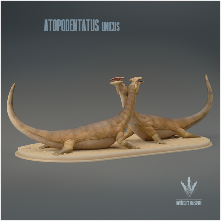 3D Printable Atopodentatus unicus : Display by Miniature Museum