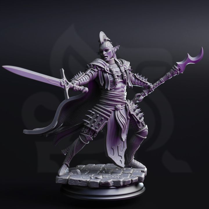 3D Printable Elite Drow House Guard - The Ordained by DM Stash
