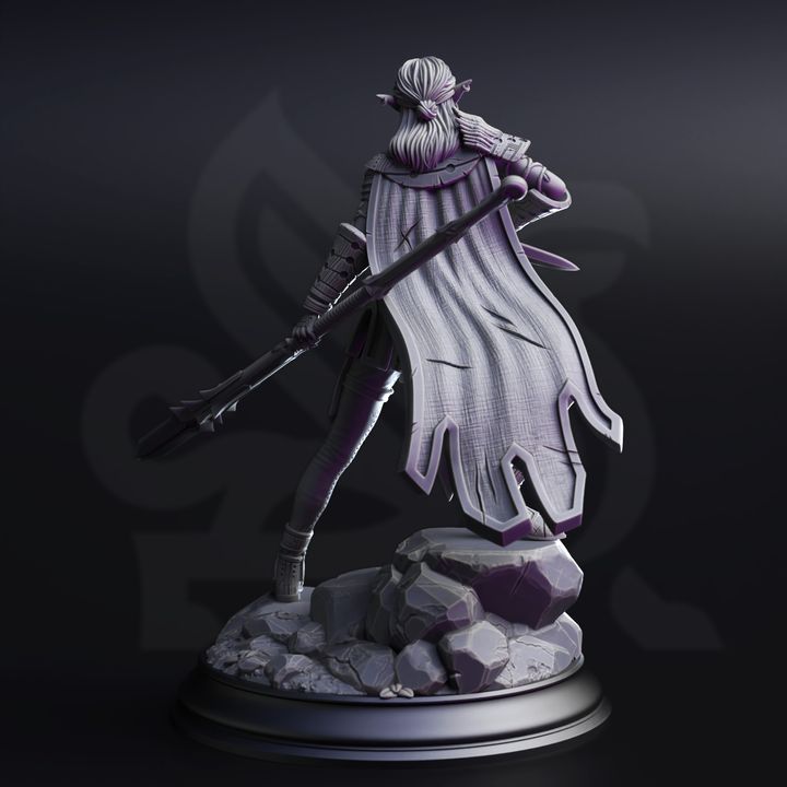3D Printable Drow Pathfinder - Vixa Indwynath by DM Stash