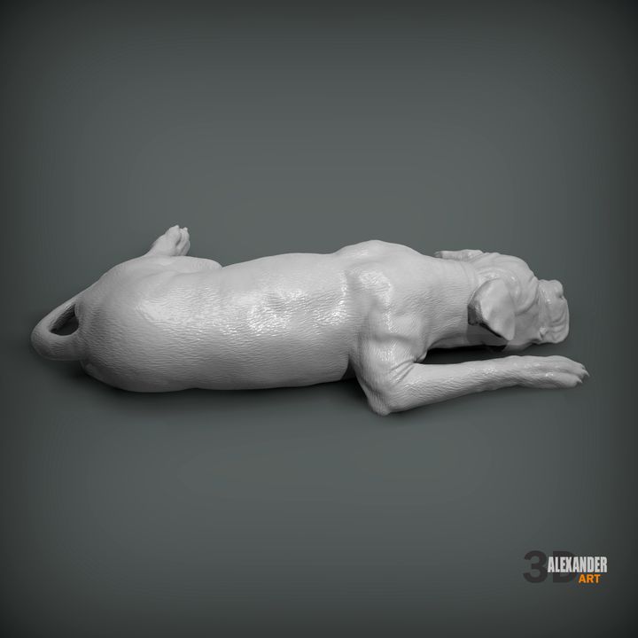3D Printable boxer dog sleeping by Alexander3dart