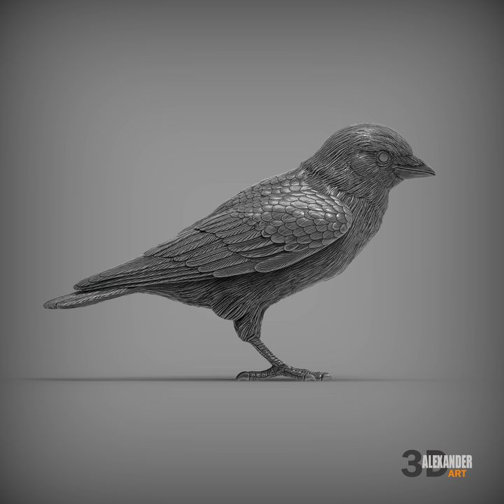 3D Printable jackdaw by Alexander3dart