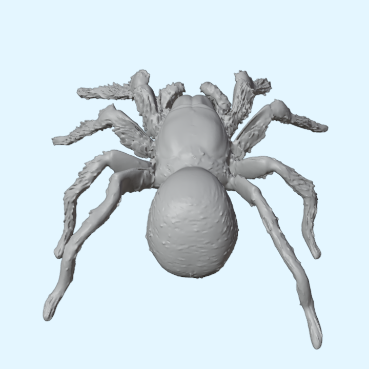 3D Printable Realistic Tarantula by Fantasy Figures