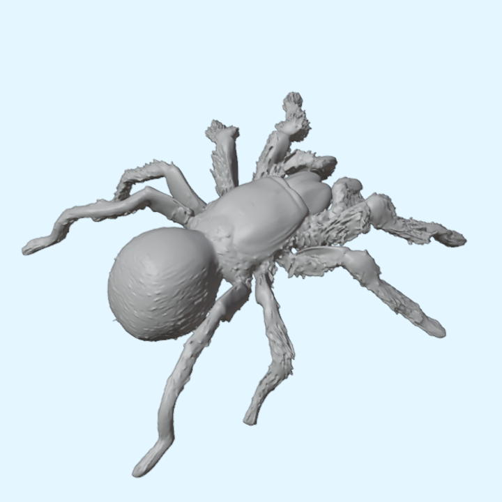 3D Printable Realistic Tarantula by Fantasy Figures