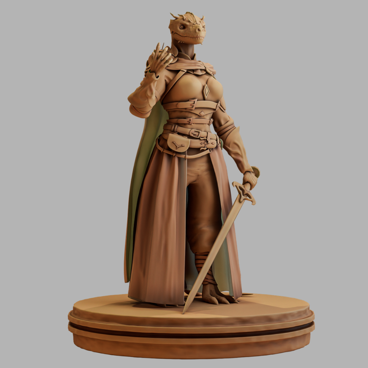 3D Printable Dragonborn Rogue – 3D Printable STL | 32mm & 72mm by ...