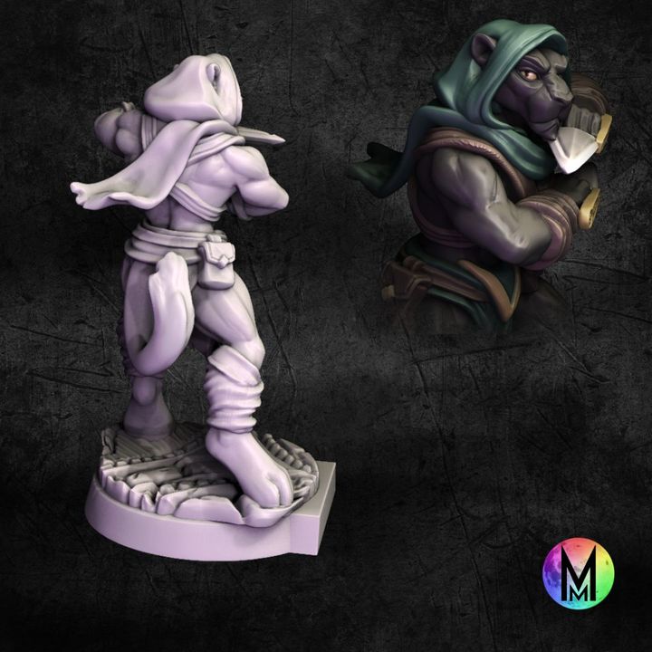 3D Printable Tabaxi Rogue - Panther themed Tabaxi fighter # 4 with ...