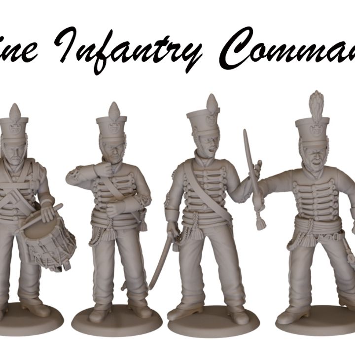 3D Printable Napoleonic Brunswick Line Infantry Command Group by David ...