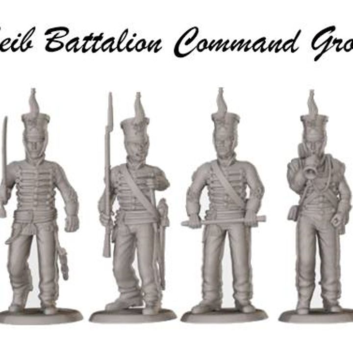 3D Printable Napoleonic Brunswick Leib Battalion Command Group by David ...