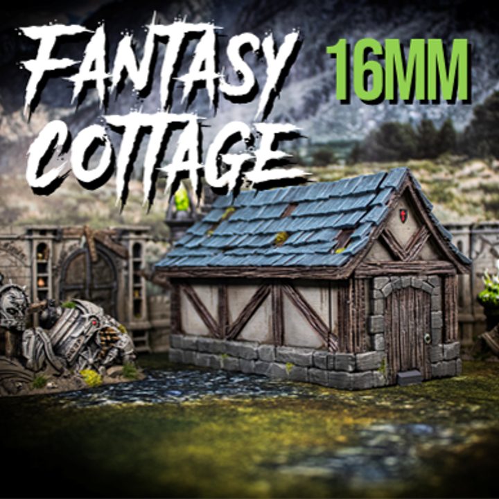 3D Printable Fantasy Cottage Rapid Fire Dicebox 16mm by Mike hancox