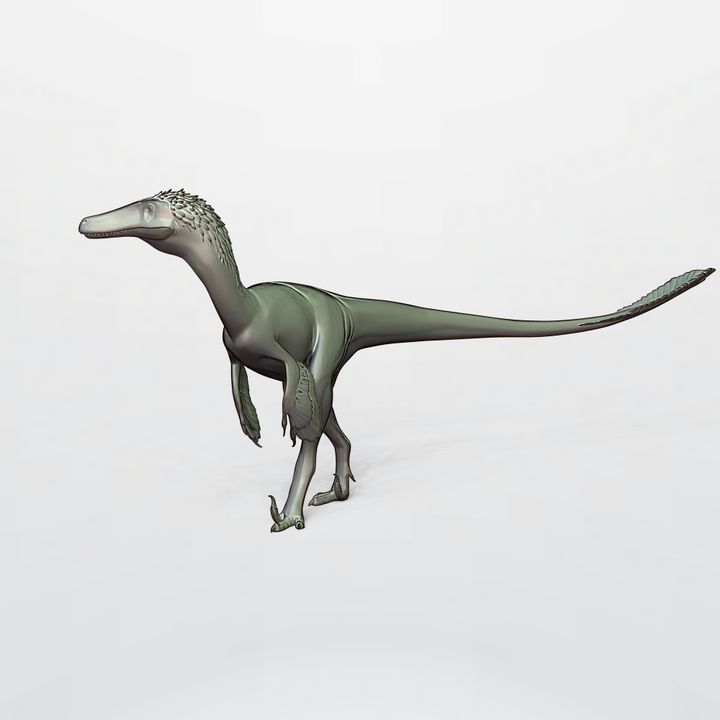3D Printable AUSTRORAPTOR by GAMELIKE