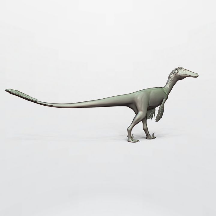 3D Printable AUSTRORAPTOR by GAMELIKE