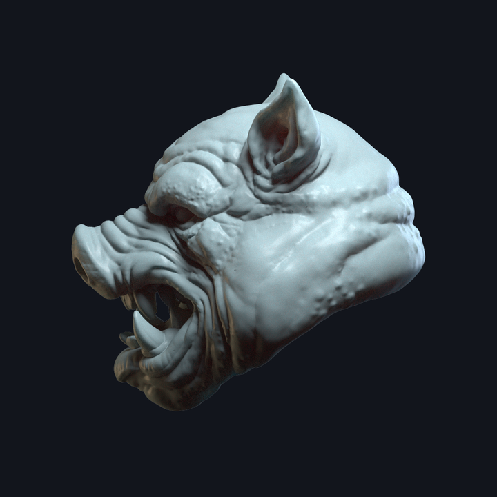3D Printable Mudrick v1 "action figure head" by diego