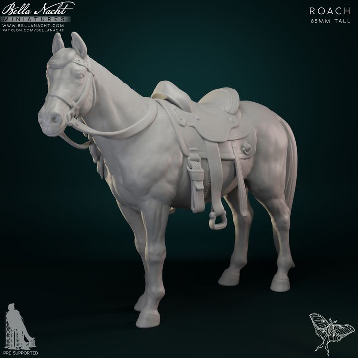 3D Printable Rewards #59 | Lady Geralt (Genderbend) by Bella Nacht Minis