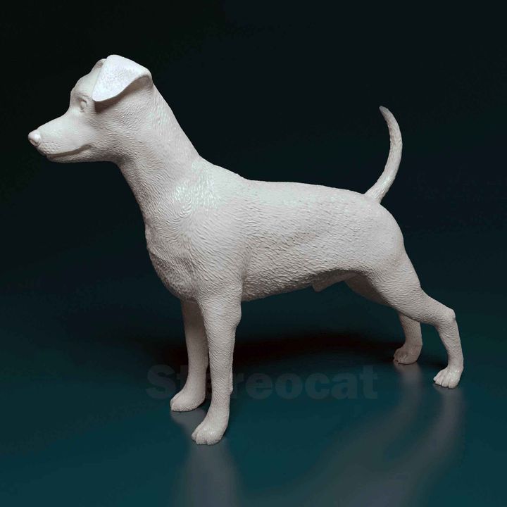3D Printable Mini Pinscher by Giunninen Andrei