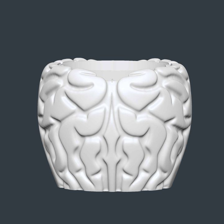 3D Printable Brain Plant Pot with Drainage by InArtWeTrust3d