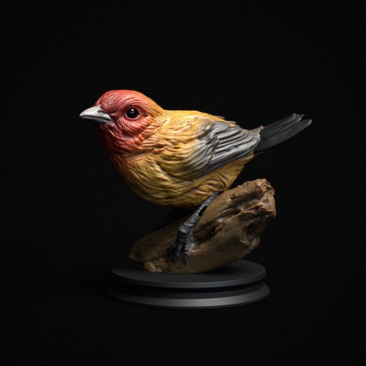 3D Printable Bird by Furfin Studio