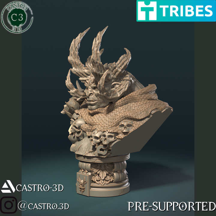 3D Printable Yurgir the Orthon - BG3 BUST Collection by Castro3D
