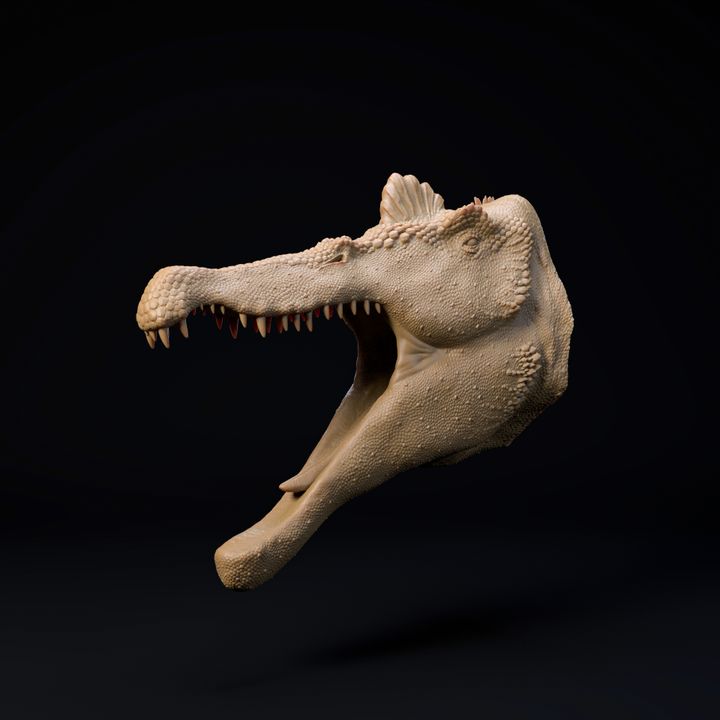 3D Printable Spinosaurus mount-head by Dino and Dog