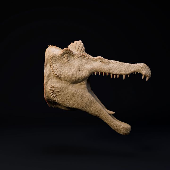3D Printable Spinosaurus mount-head by Dino and Dog