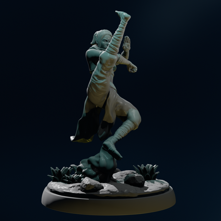 3D Printable Githzerai Monk / gith / githyanki by Studio Fantasms