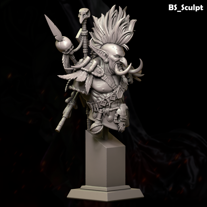 3D Printable Master of the Shadows Bust 60 mm by BS-Sculpt Bulat