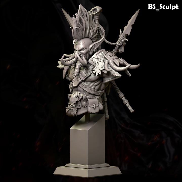 3D Printable Master of the Shadows Bust 60 mm by BS-Sculpt Bulat
